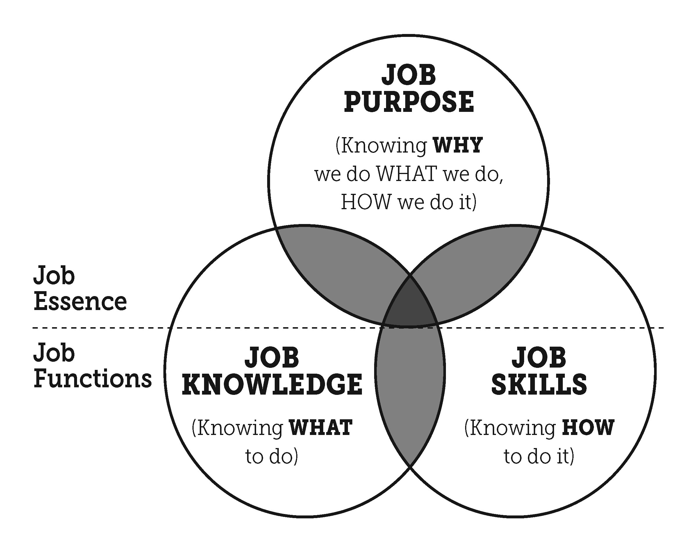 How to create an inspired workforce: Discover | Steve Curtin
